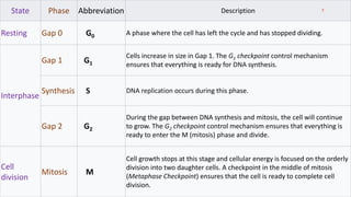 Cell division and gametogenesis | PPTX