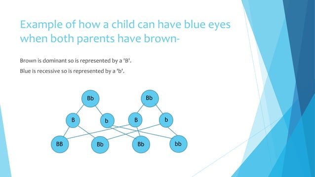 Cell division and inheritance | PPTX