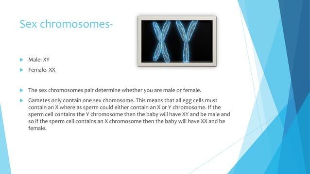 Cell division and inheritance | PPTX
