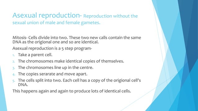 Cell division and inheritance | PPTX