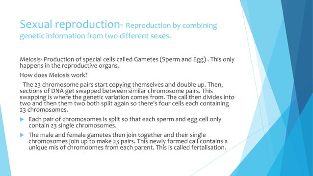 Cell division and inheritance | PPT