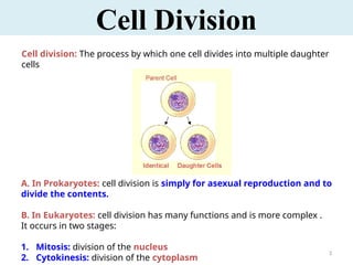 Inheritance & Cell Division Overview.pptx