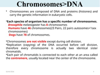 Inheritance & Cell Division Overview.pptx