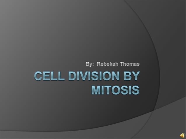 Cell Division By Mitosis | PPTX | Biological Sciences | Science