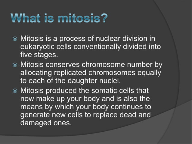 Cell Division By Mitosis | PPTX | Biological Sciences | Science