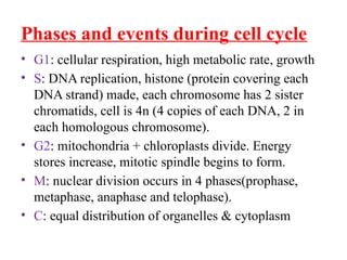 Cell Division & Cell cycle- Copperbelt University slides | PPTX