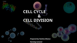 Cell division & Cell Cycle (Prepared by Taslima Khatun) | PPTX