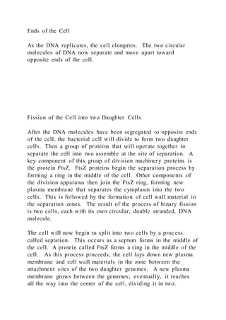 Cell DivisionCell Division in ProkaryotesBinary FissionDef | DOCX