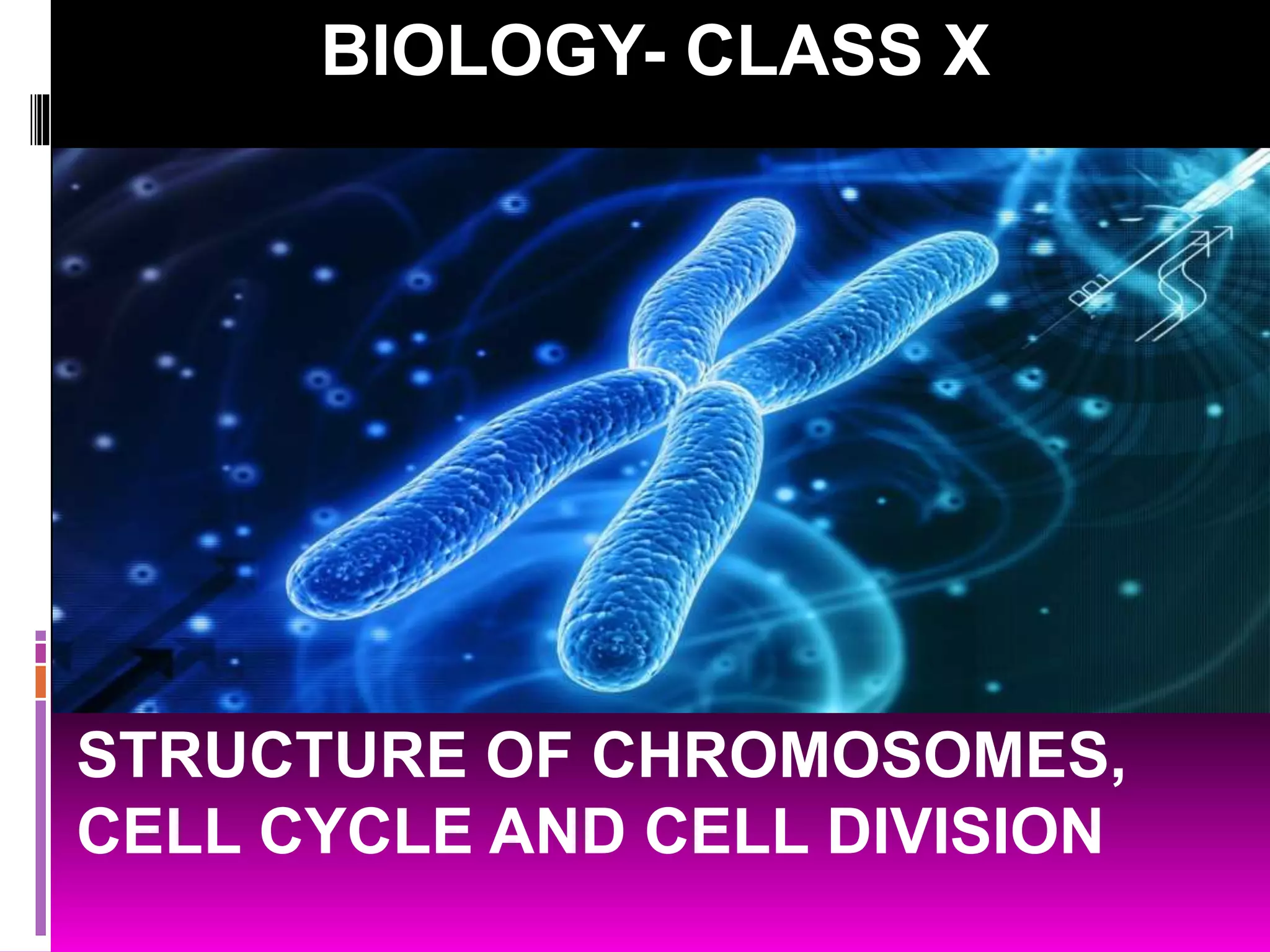 cell division class 10.pptx