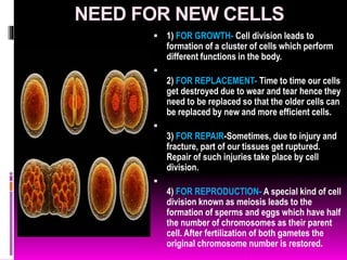 cell division class 10.pptx