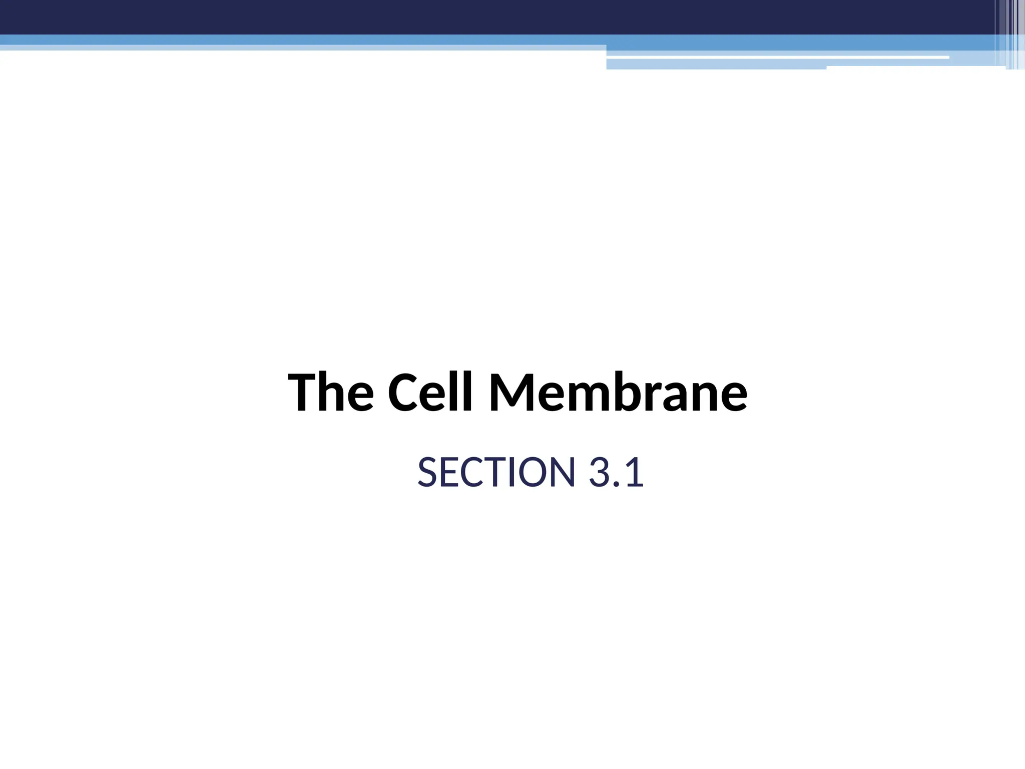 Cell division cycle PPT.pptx ANTOMY AND PHYSILOGY ALSO ADDED THIS TOPIC ...