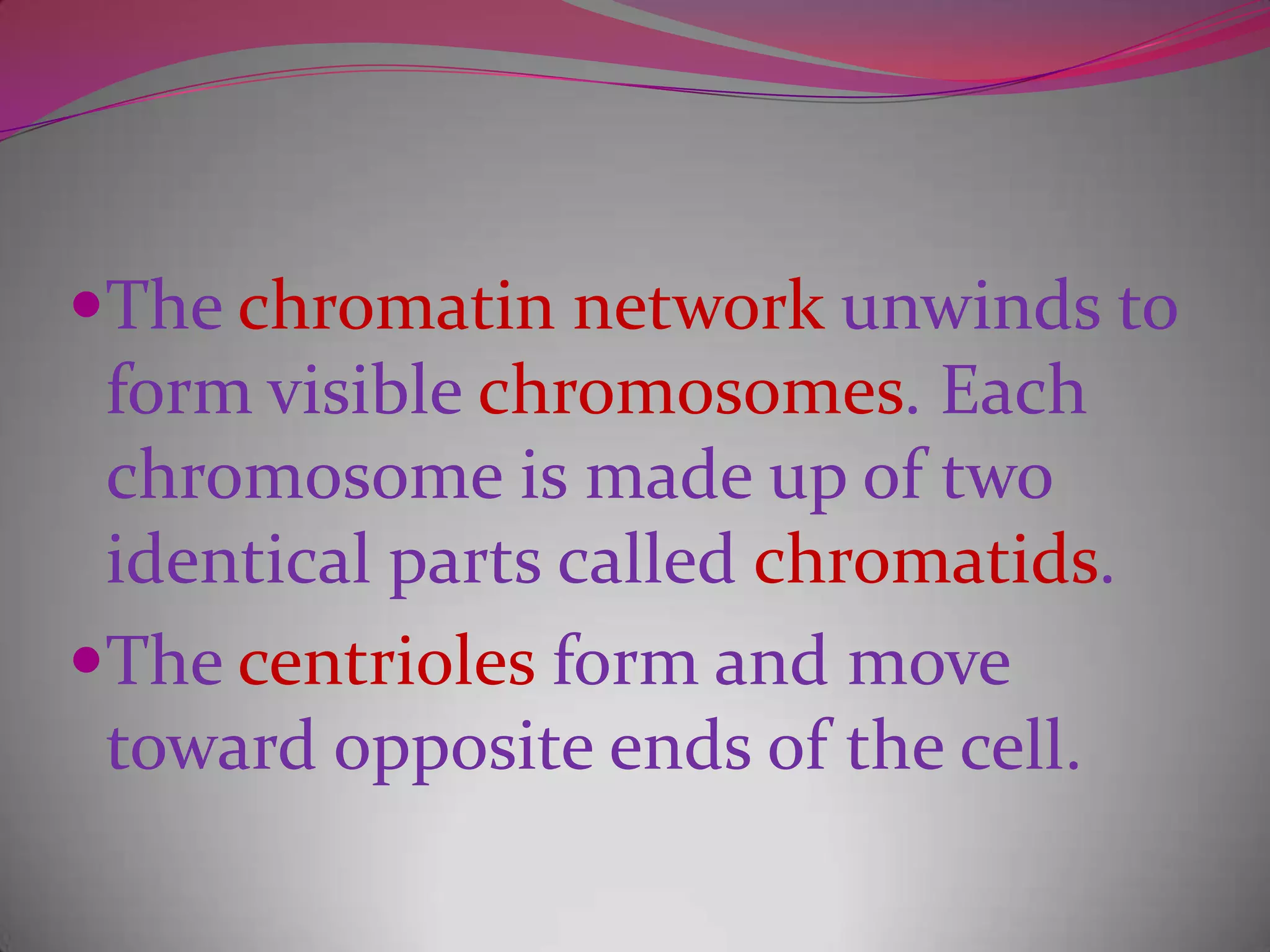 Cell division grade 10 | PPTX