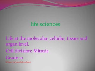 Cell division grade 10 | PPTX