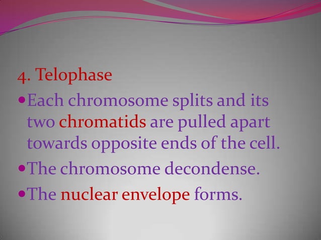 Cell division grade 10 | PPTX | Biological Sciences | Science
