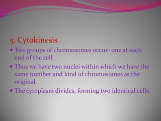 Cell division grade 10 | PPTX