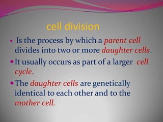 Cell division grade 10 | PPTX