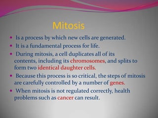 Cell division grade 10 | PPTX