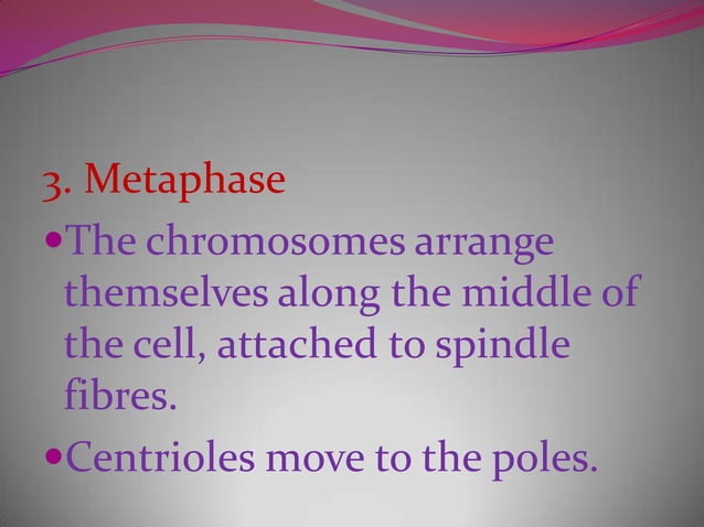 Cell division grade 10 | PPTX | Biological Sciences | Science
