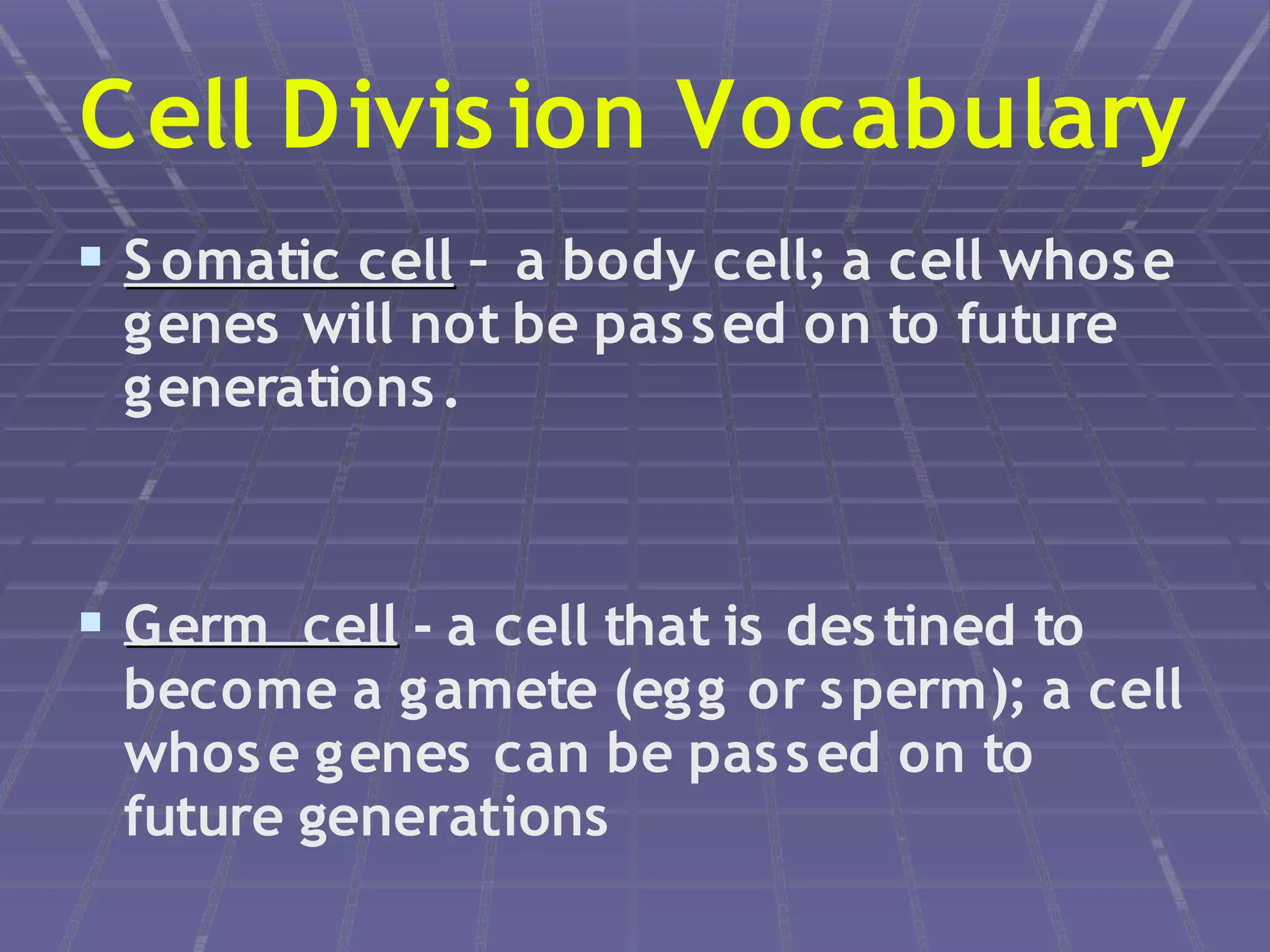Cell Division Grade 8 Discussion.pptx | Infertility | Reproductive Health