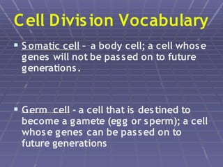 Cell Division Grade 8 Discussion.pptx