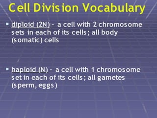 Cell Division Grade 8 Discussion.pptx