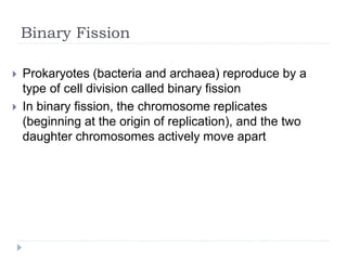 Cell division in eukaryotic and prokaryotics I.pptx