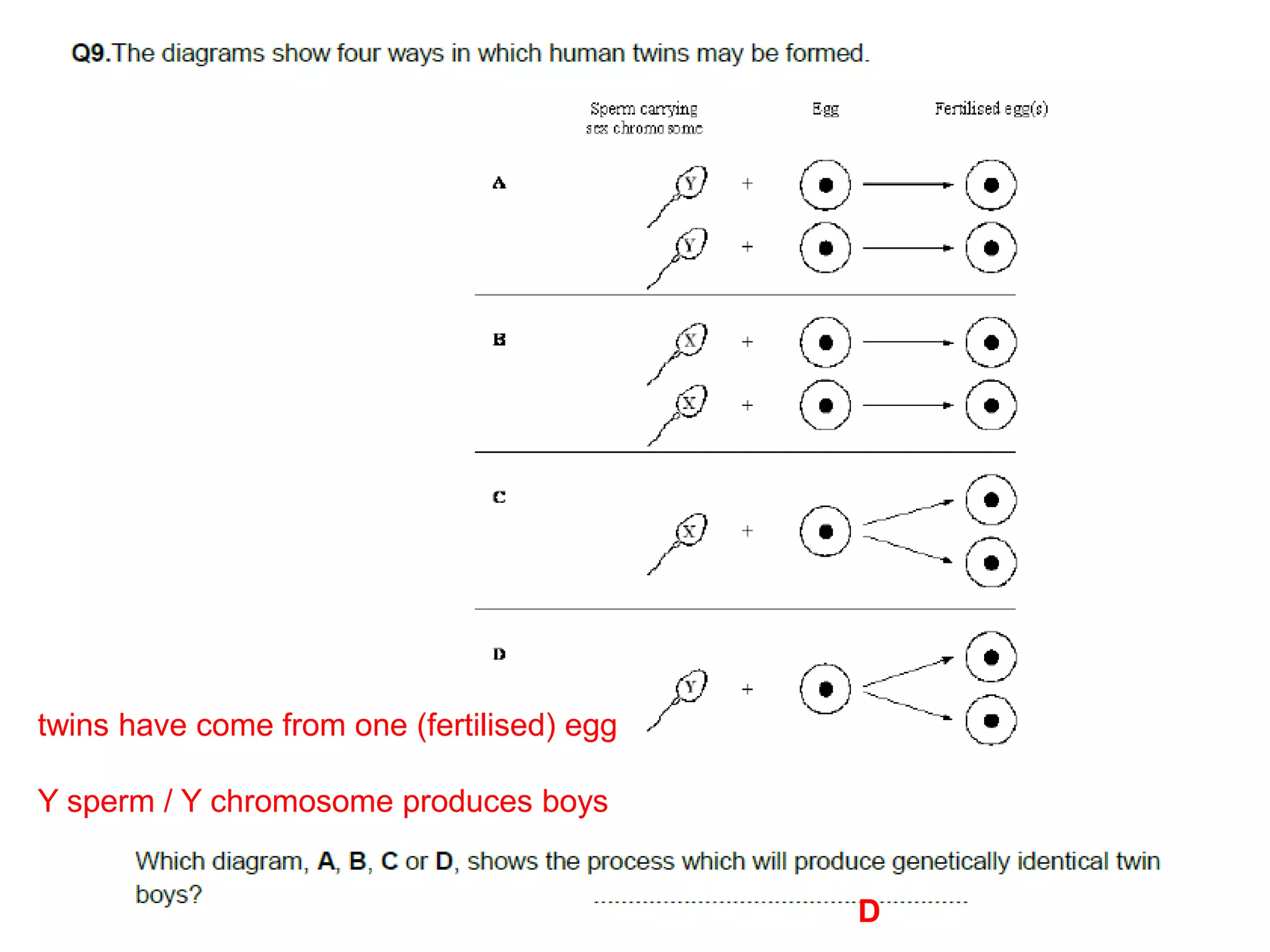 Cell division & inheritance gcse qs | PPTX