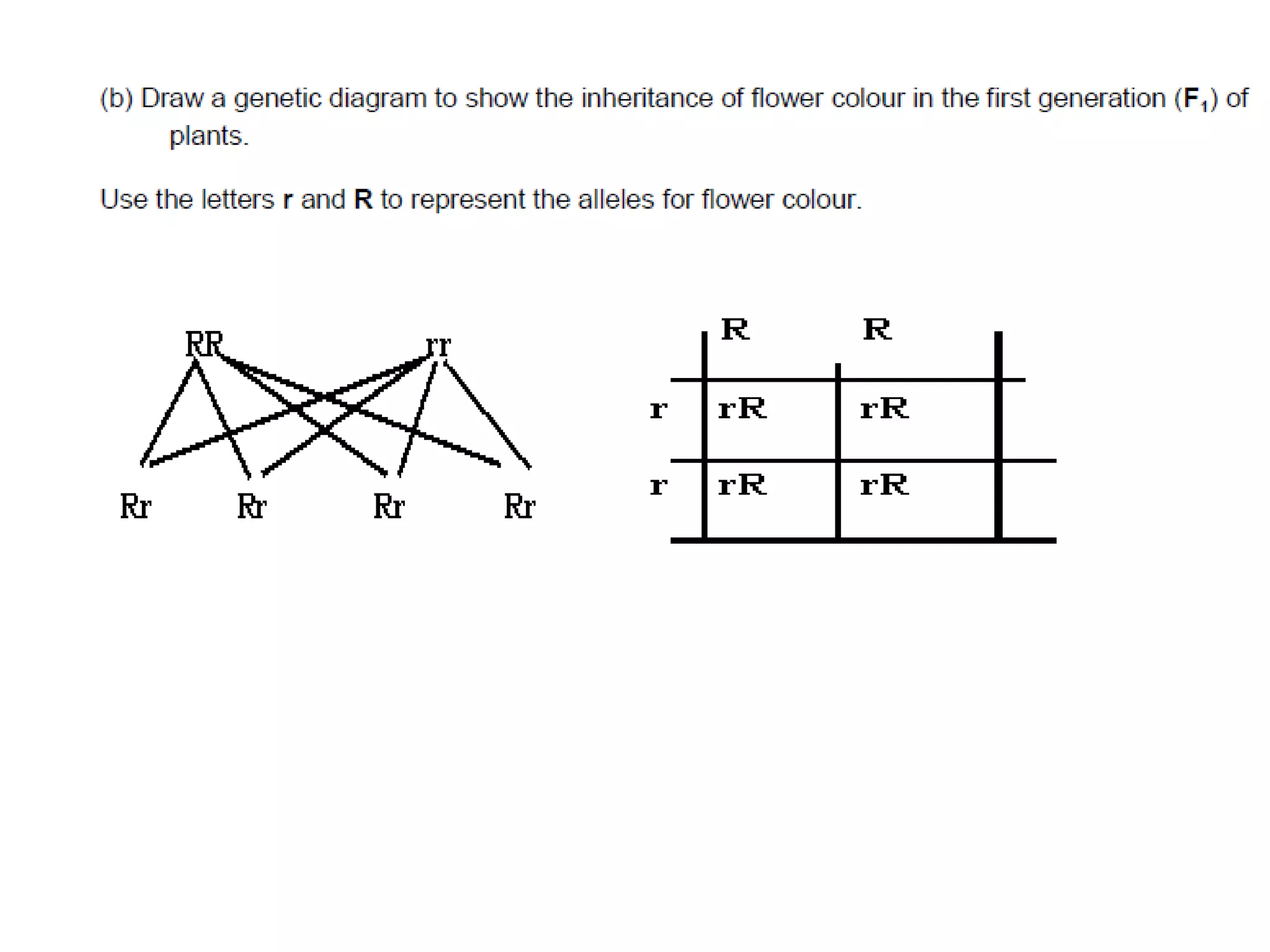 Cell division & inheritance gcse qs | PPTX