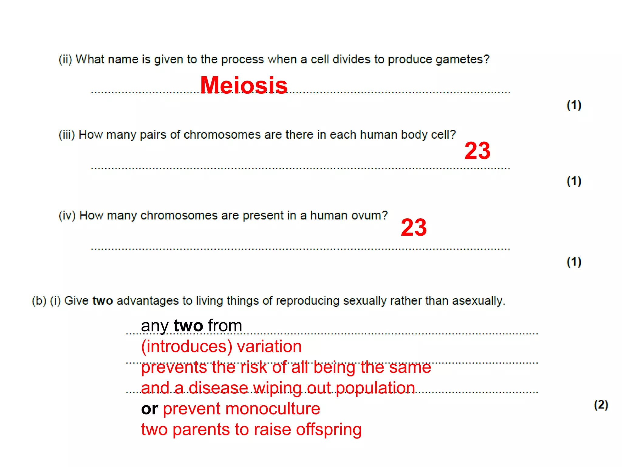 Cell division & inheritance gcse qs | PPTX