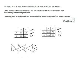 Cell division & inheritance gcse qs | PPTX