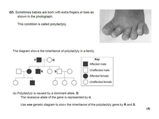 Cell division & inheritance gcse qs | PPTX