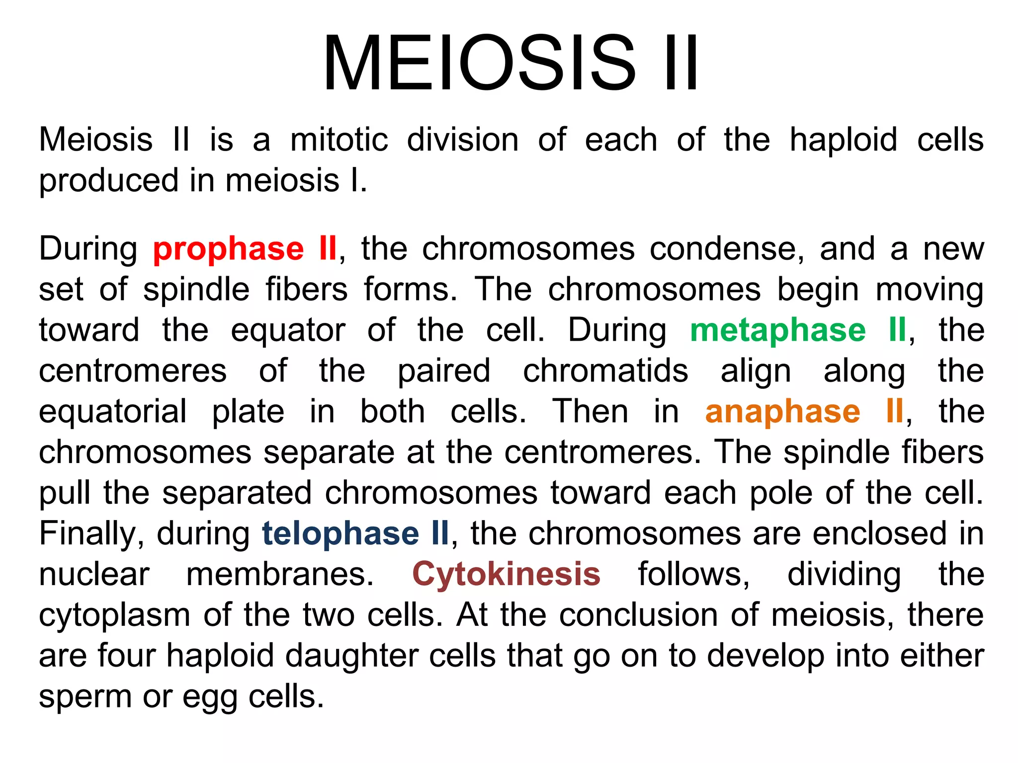 Cell division/Cell Cycle/ DNA duplication | PPT
