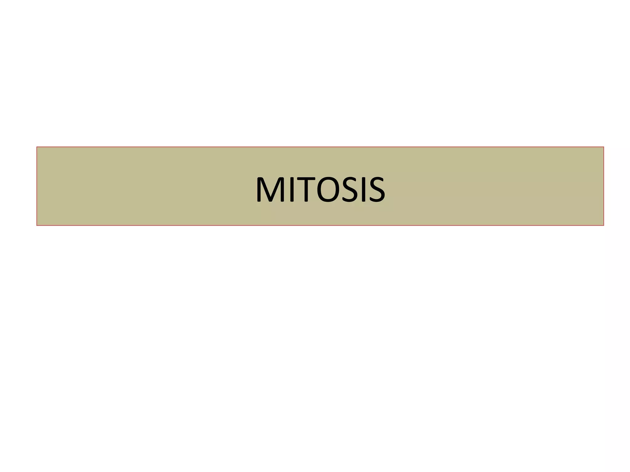 Cell division/Cell Cycle/ DNA duplication | PPT