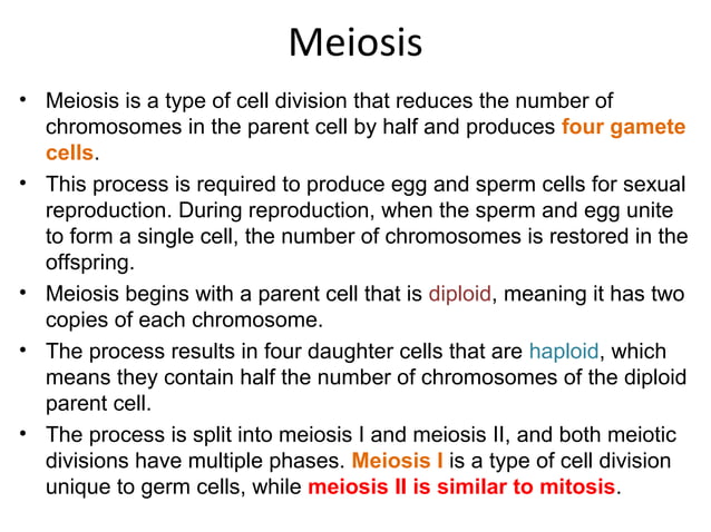 Cell division/Cell Cycle/ DNA duplication | PPT