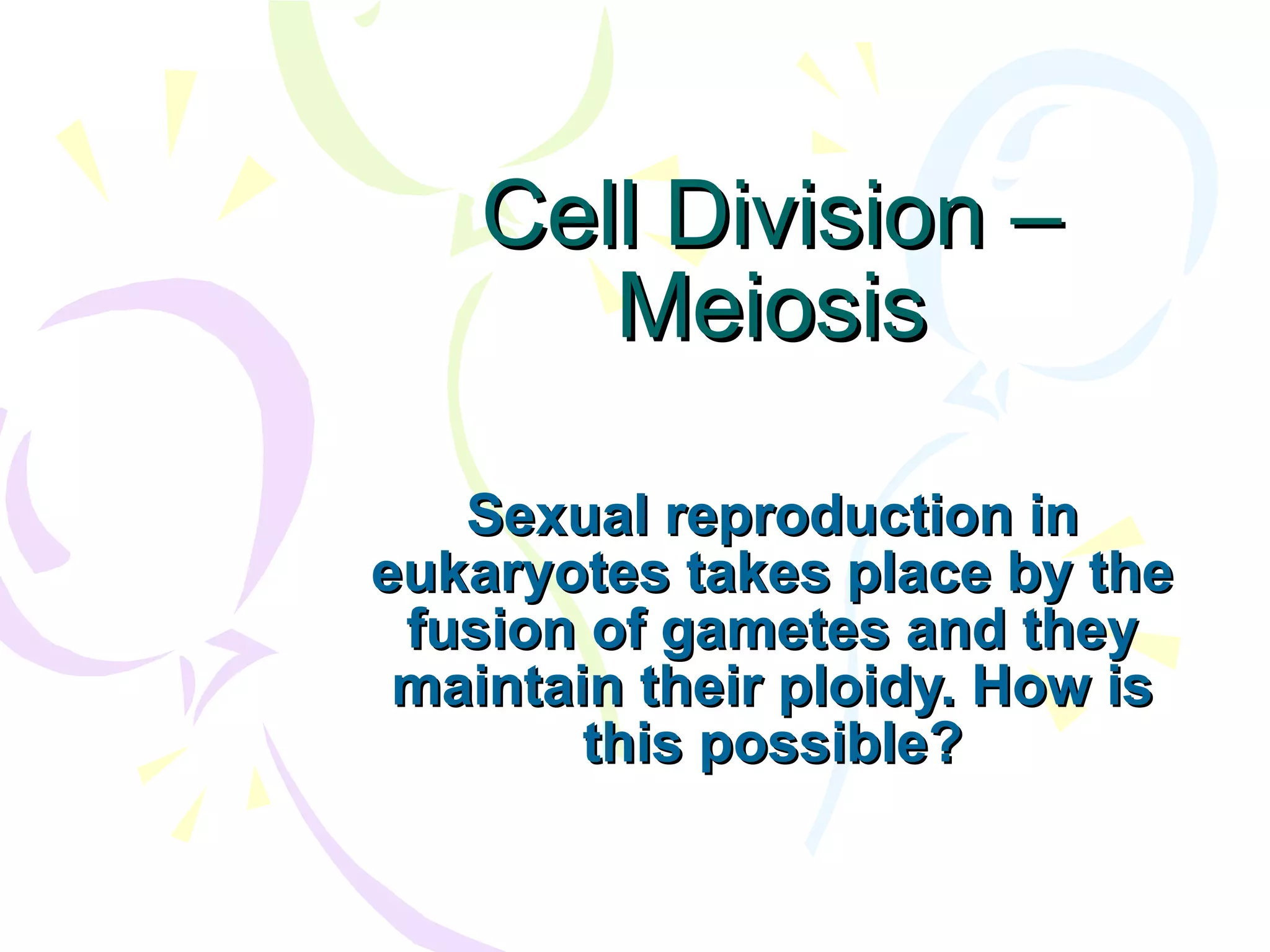 Cell division – meiosis | PPT