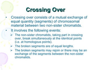 Cell division – meiosis | PPT