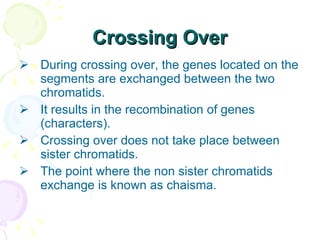 Cell division – meiosis | PPT