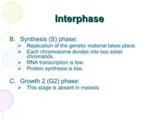 Cell division – meiosis | PPT