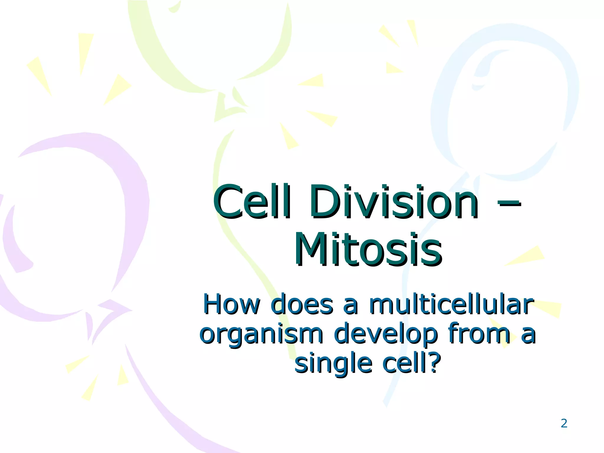 Cell division – mitosis | PPT