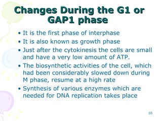 Cell division – mitosis | PPT