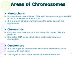 Cell division – mitosis | PPT