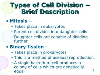 Cell division – mitosis | PPT