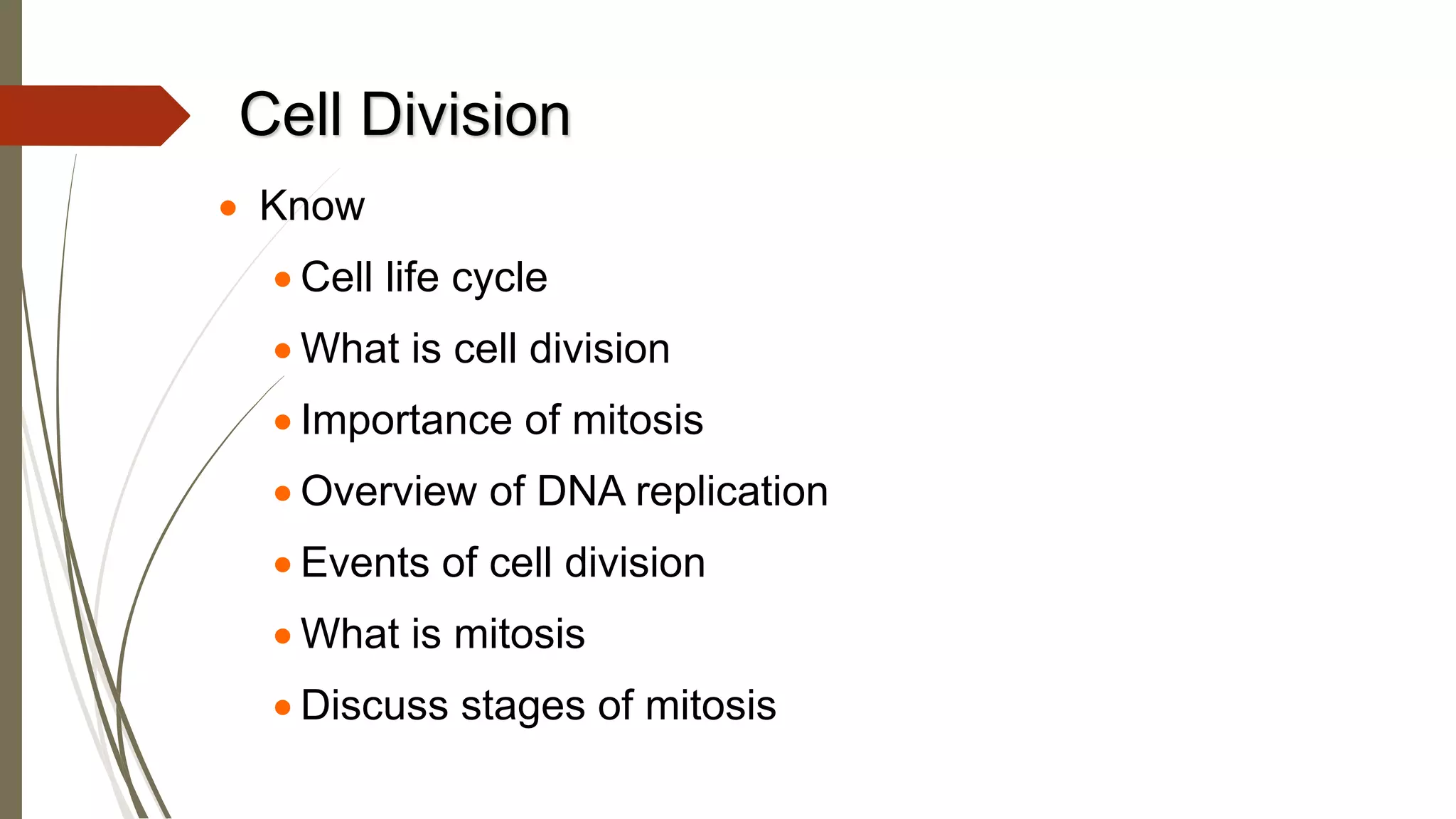 Cell division Mitosis.pdf