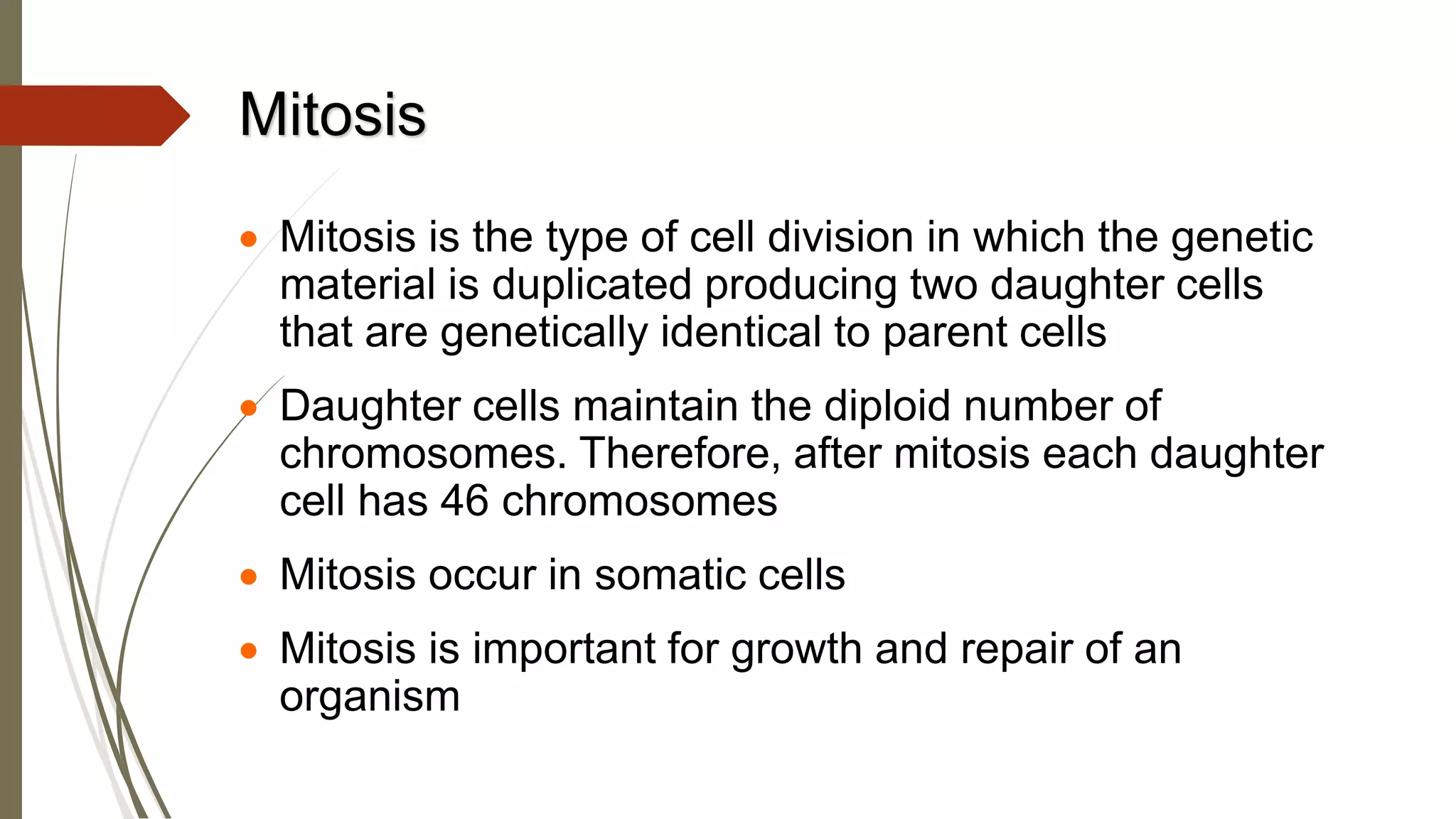 Cell division Mitosis.pdf