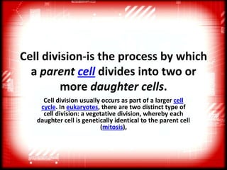 Cell division | PPT