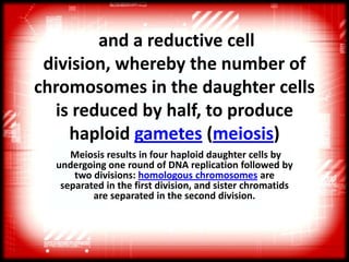 Cell division | PPT