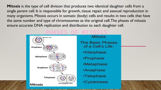 Cell division mitosis and meiosis study.pptx