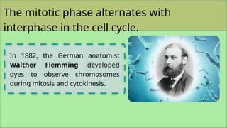 Biology- Cell Division (Mitosis and Meiosis).pptx