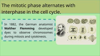 Biology- Cell Division (Mitosis and Meiosis).pptx