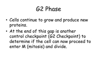 Cell division mitosis meiosis | PPTX
